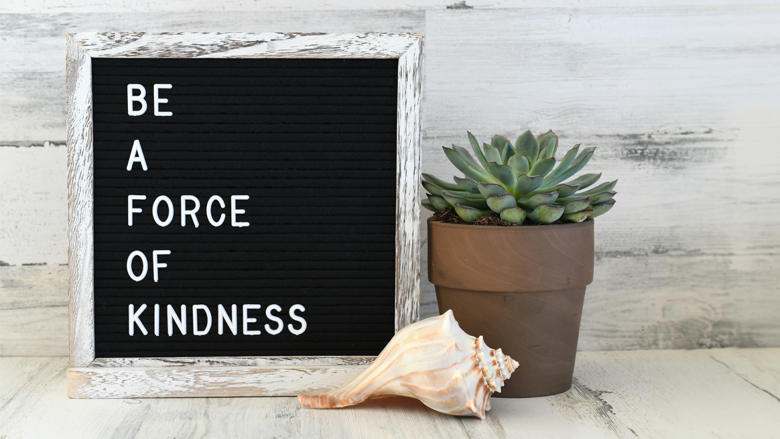 ACR Stormers ⋆ A Twitch Poker Community